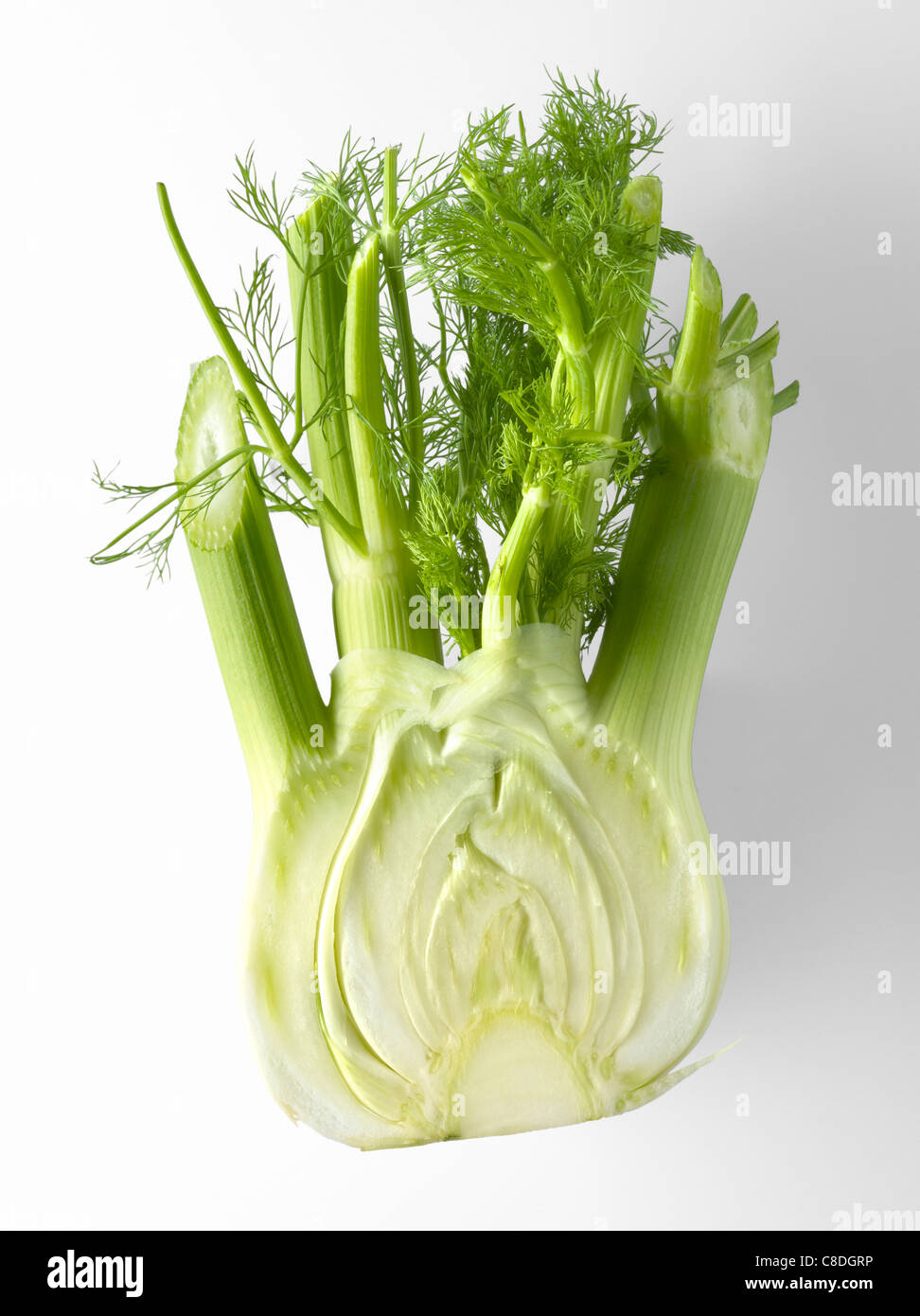 Fennel cut in half Stock Photo - Alamy