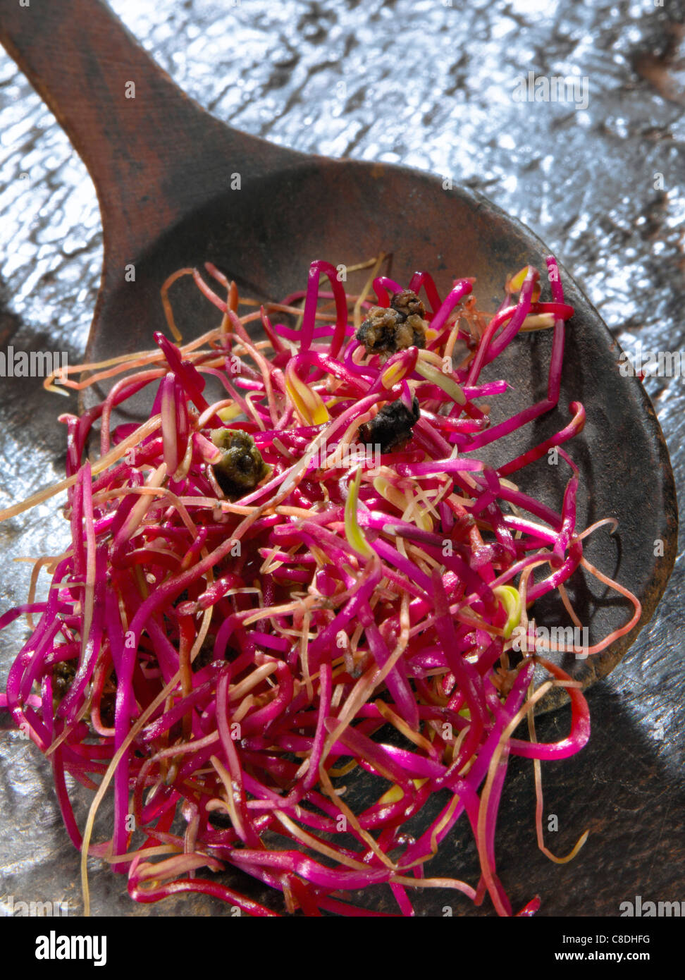 Beetroot shoot hi-res stock photography and images - Alamy
