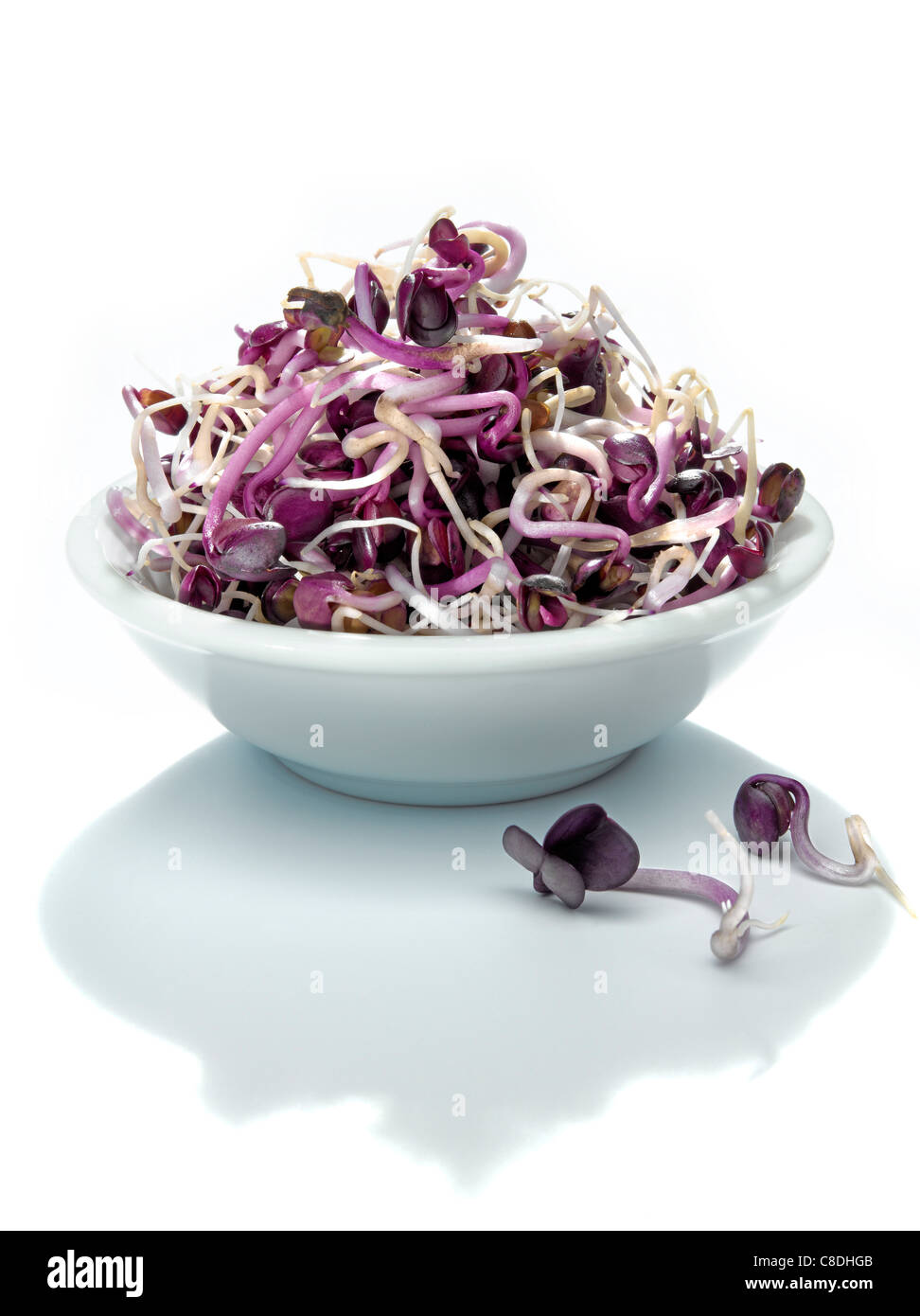 Purple radish sprouts Stock Photo - Alamy