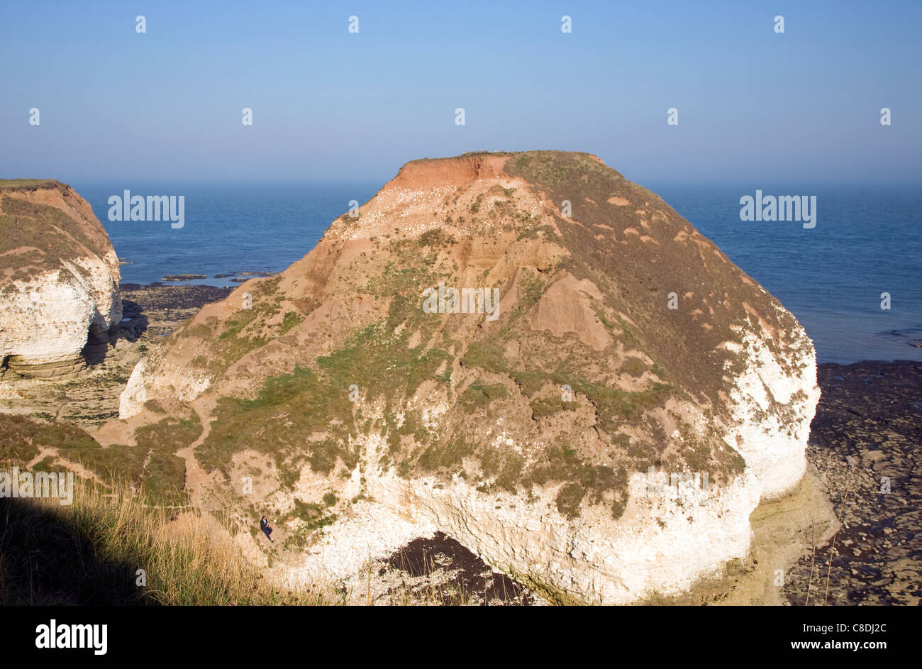 English chalk coastal hi-res stock photography and images - Alamy