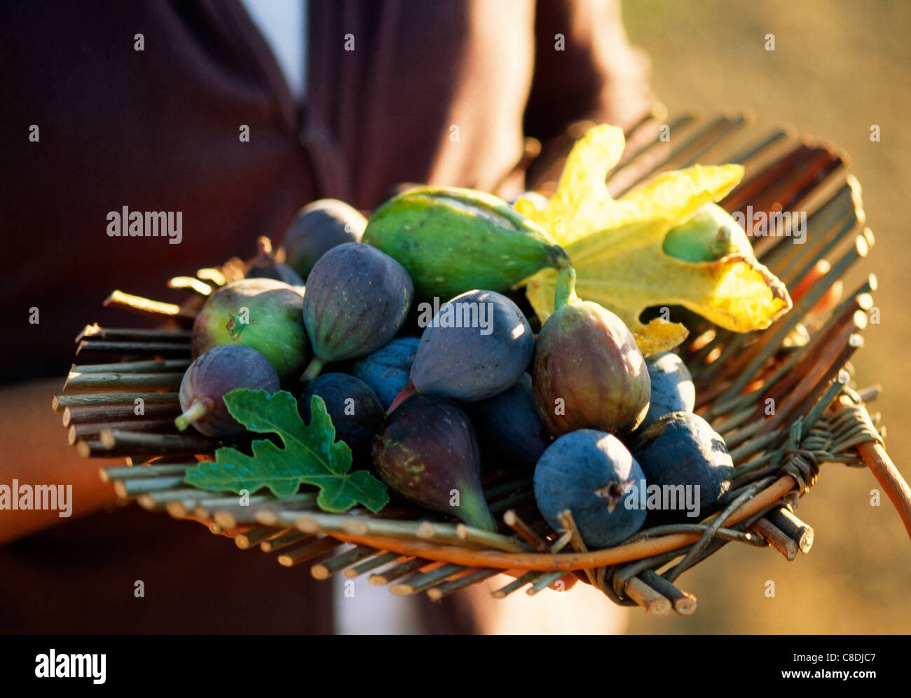 Basket of figs Stock Photo - Alamy