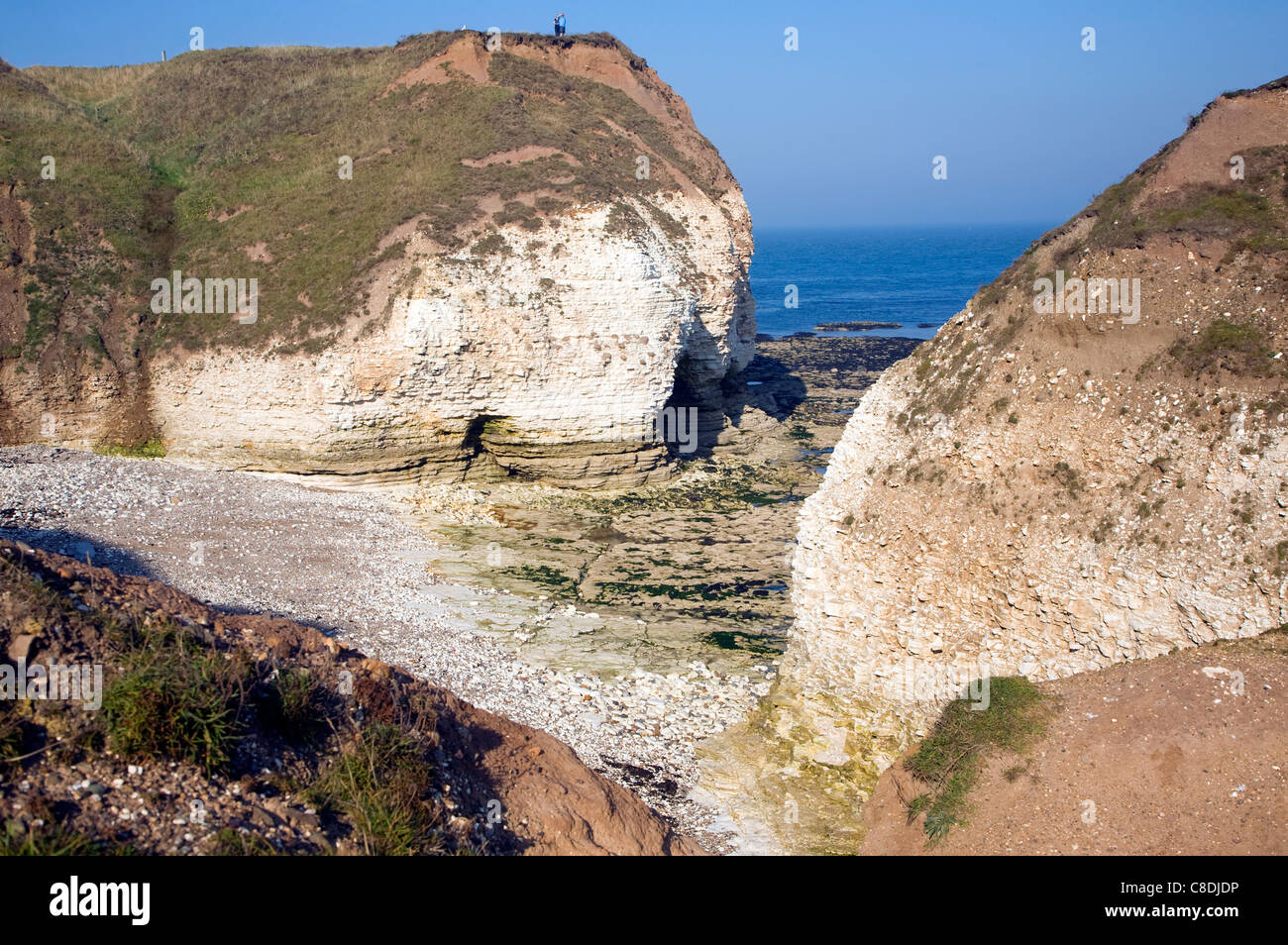 Chalk coastal scenery Flamborough Head Yorkshire England Stock Photo ...