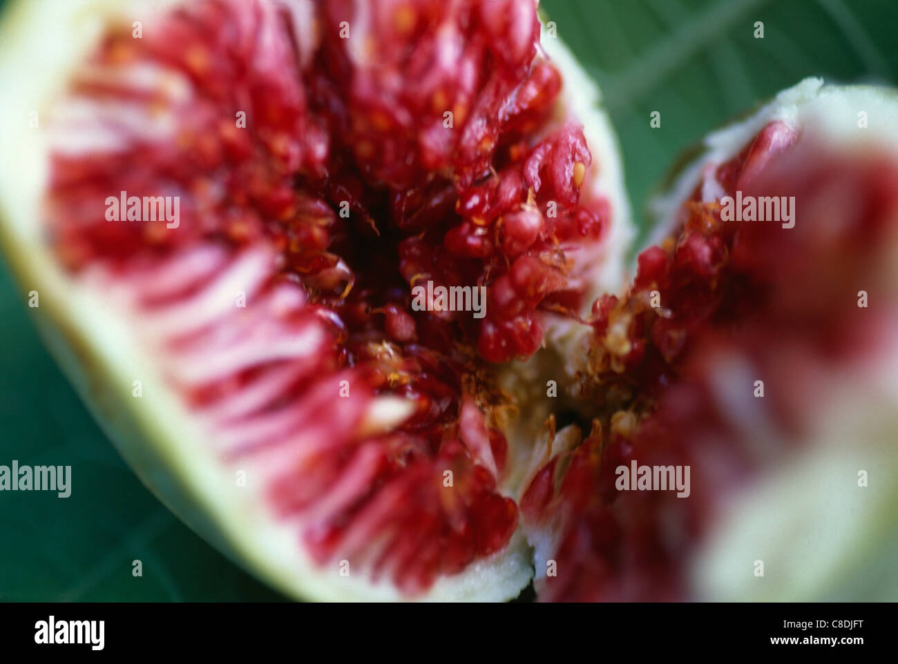 The fig hi-res stock photography and images - Alamy