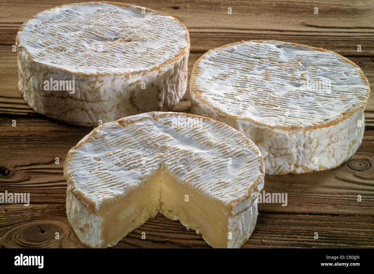 Normandy cows camembert hi-res stock photography and images - Alamy