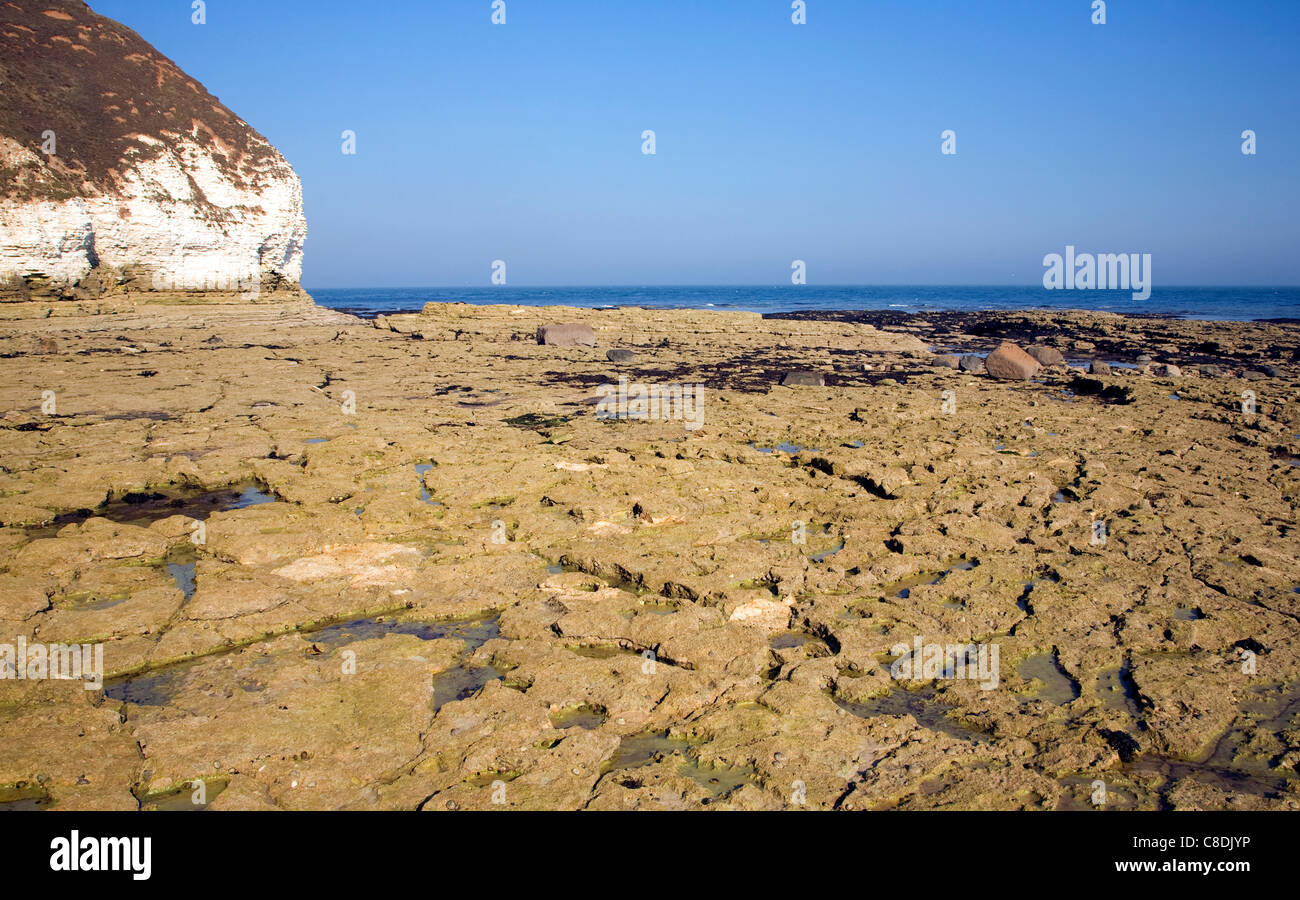 Chalk coastal scenery Flamborough Head Yorkshire England Stock Photo ...