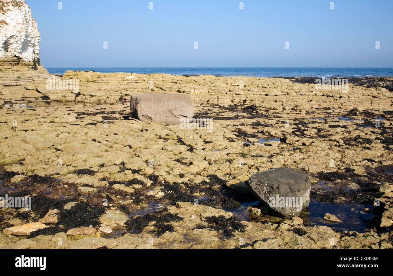 Chalk coastal scenery Flamborough Head Yorkshire England Stock Photo ...