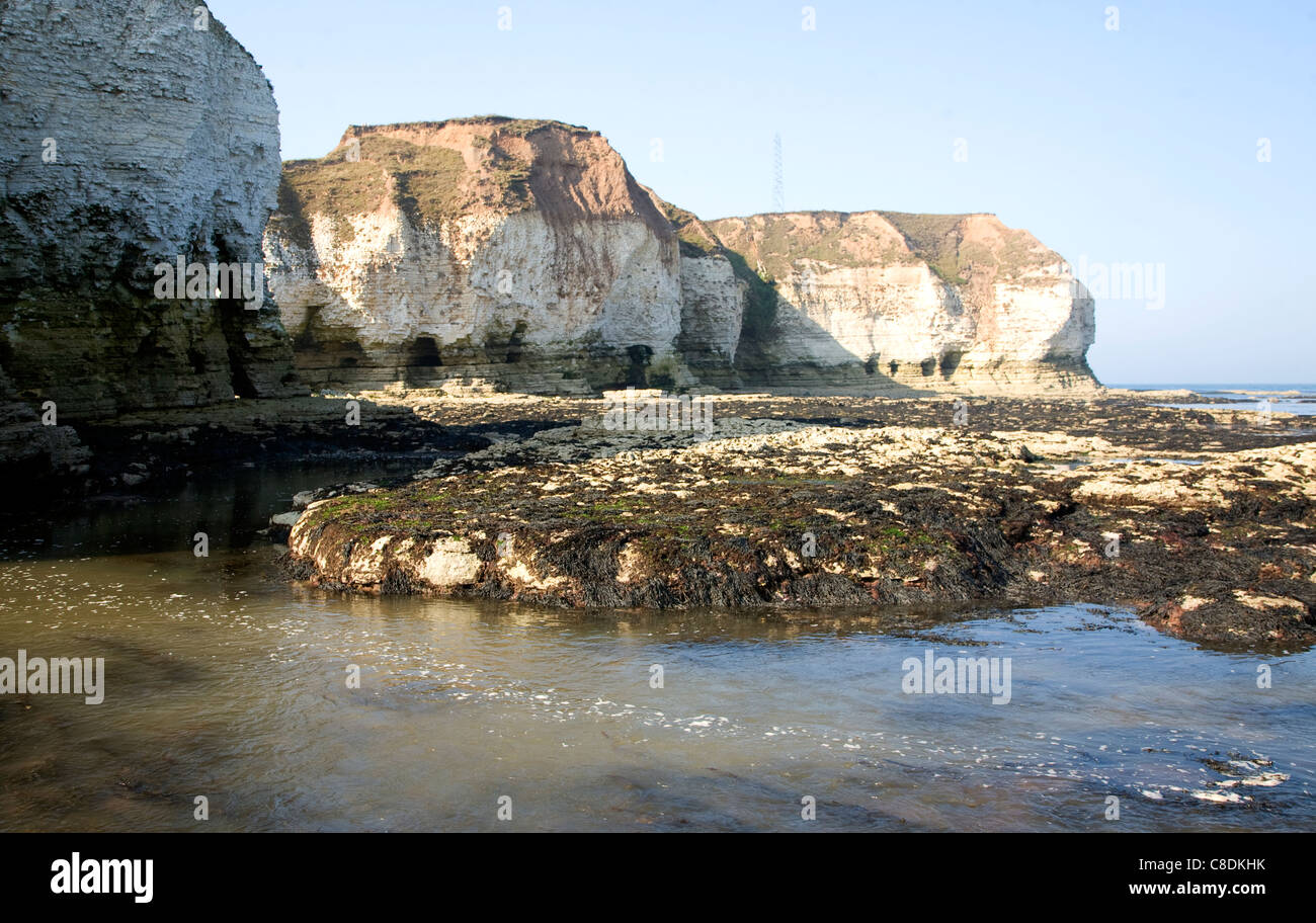 Chalk coastal scenery Flamborough Head Yorkshire England Stock Photo ...