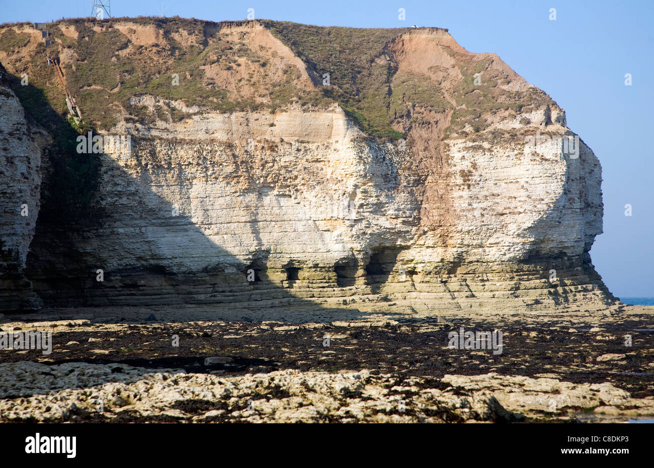 Chalk coastal scenery Flamborough Head Yorkshire England Stock Photo ...