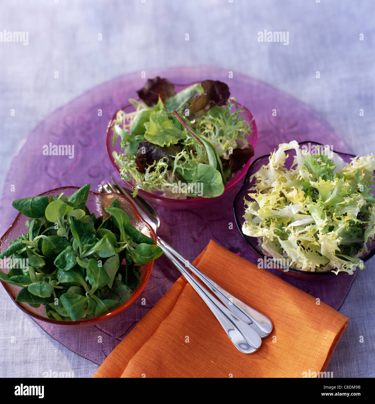 Selection of lettuces : curly lettuce,corn salad and mesclun Stock ...