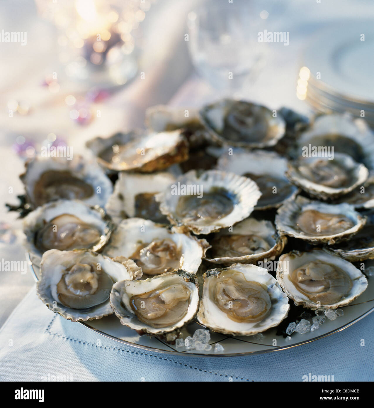 Platter of Belon oysters Stock Photo - Alamy