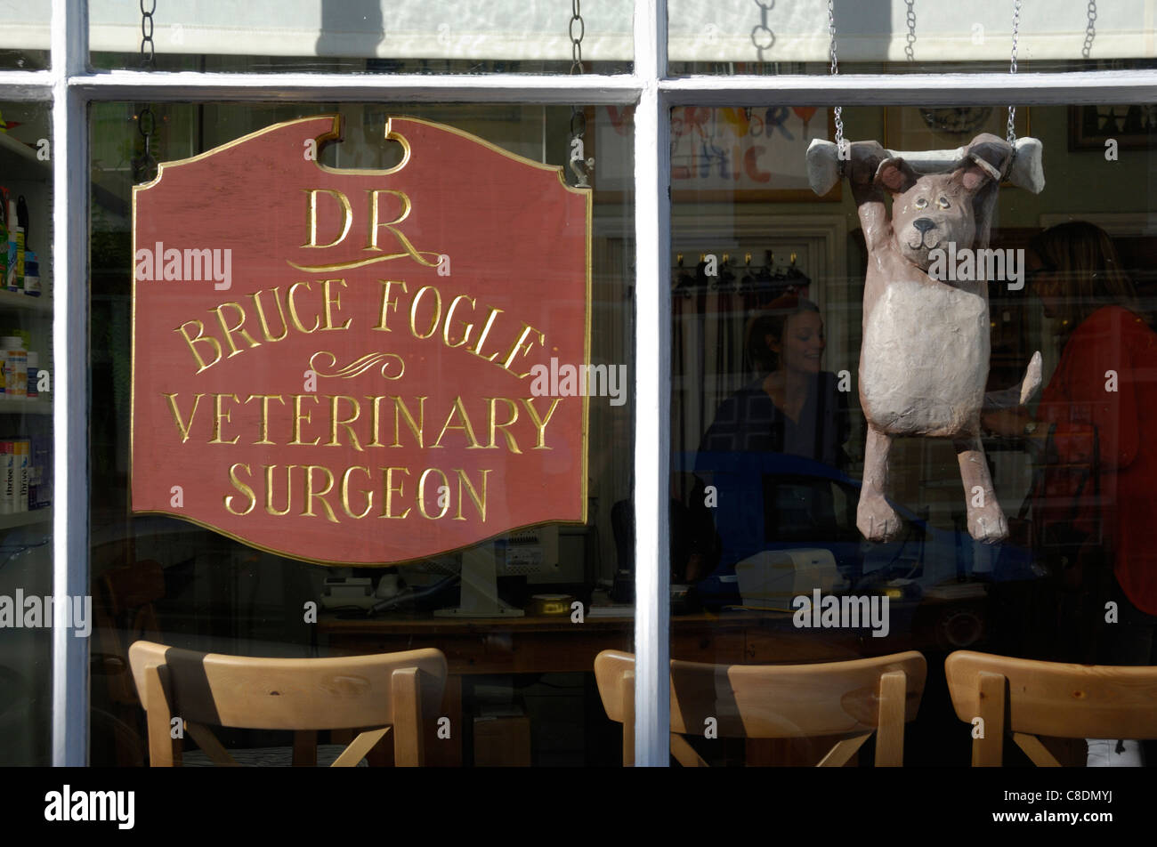 Sign and wooden model of a dog in a Veterinary Surgeon’s window, London ...