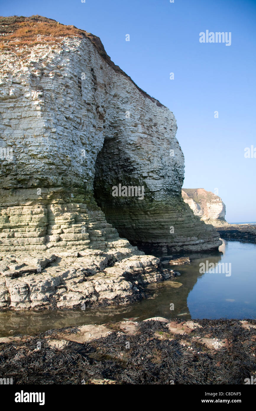 Chalk coastal scenery Flamborough Head Yorkshire England Stock Photo ...