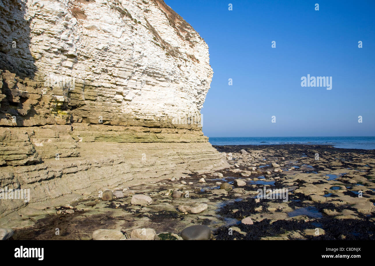 Wave cut notch flamborough head hi-res stock photography and images - Alamy