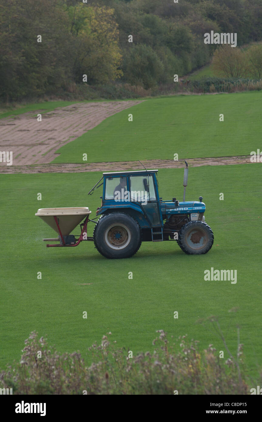 Ford tractor spreading artificial fertiliser on turf growing farm, UK ...