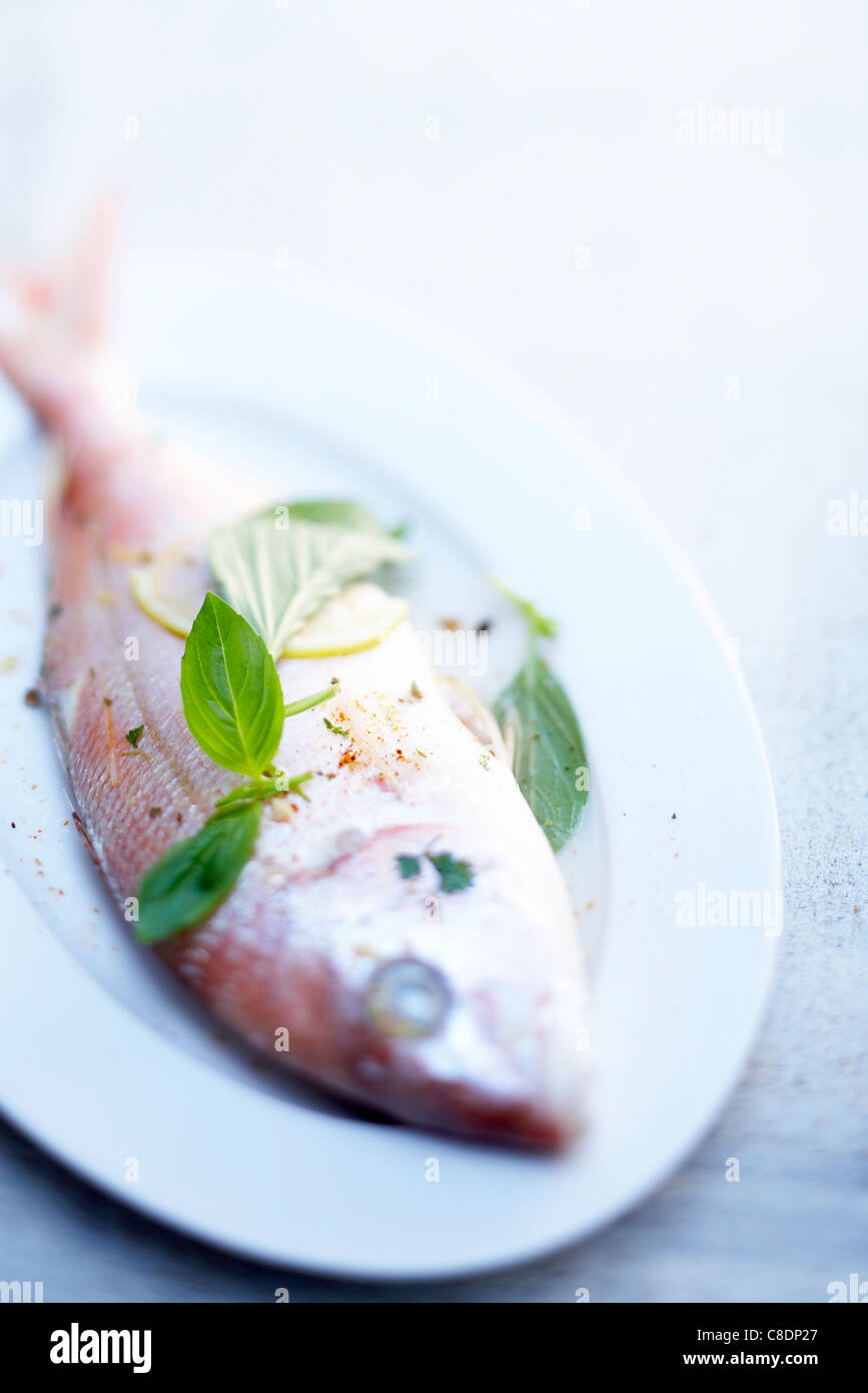 Full Of Fish High Resolution Stock Photography and Images - Alamy