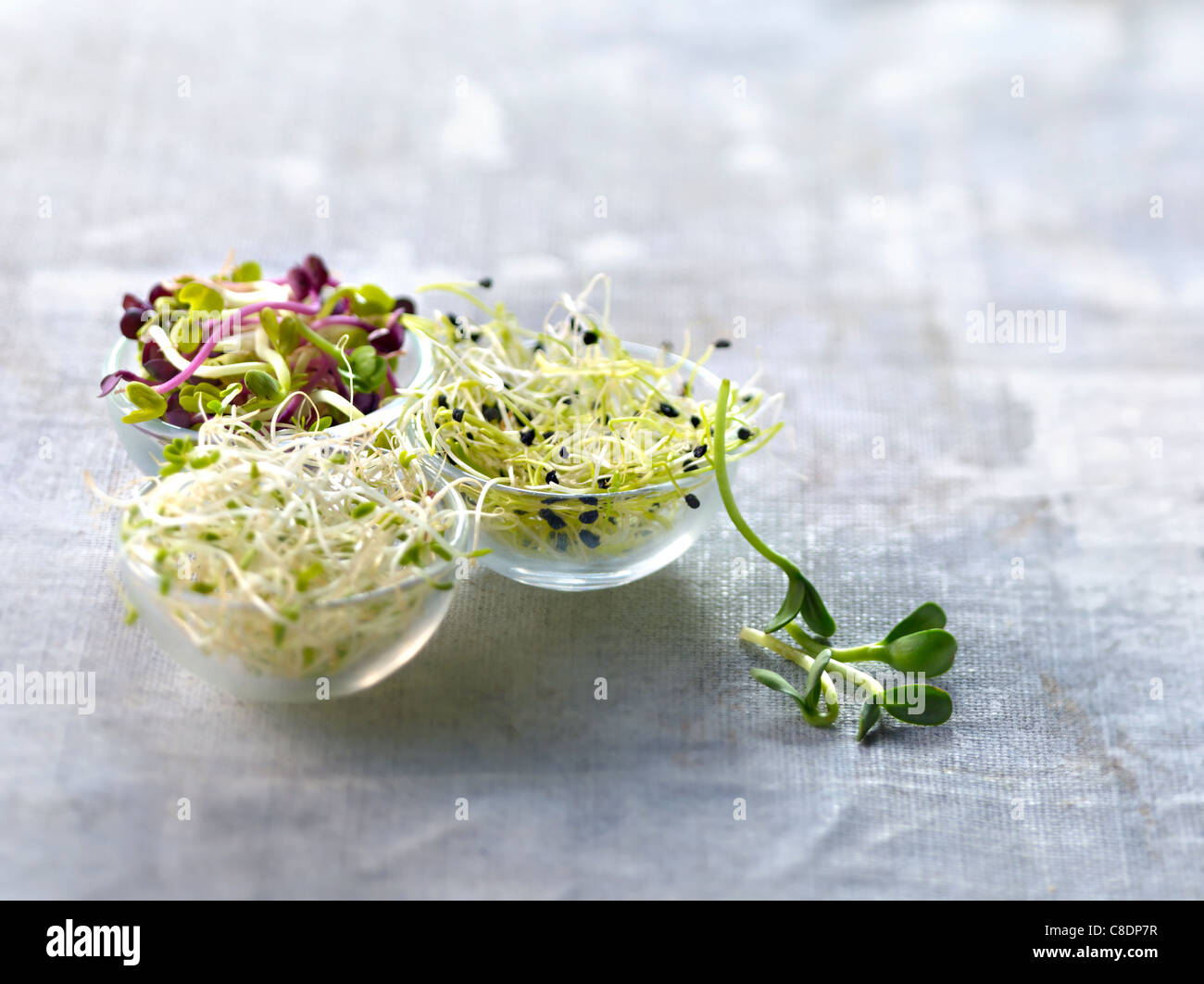 Three different varieties hi-res stock photography and images - Alamy
