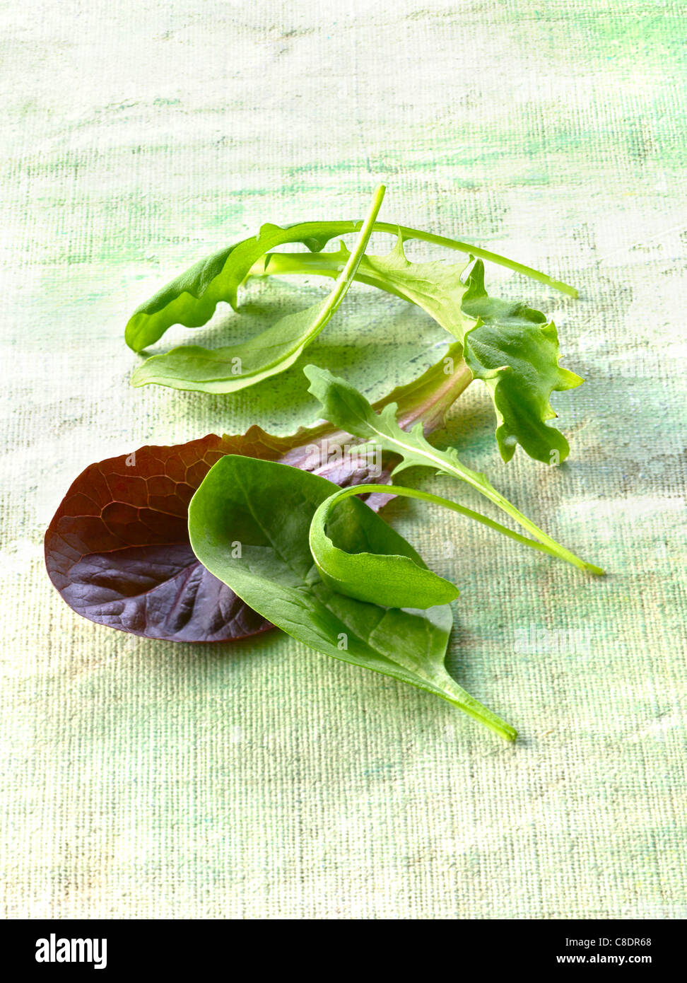 Young green shoots Stock Photo - Alamy