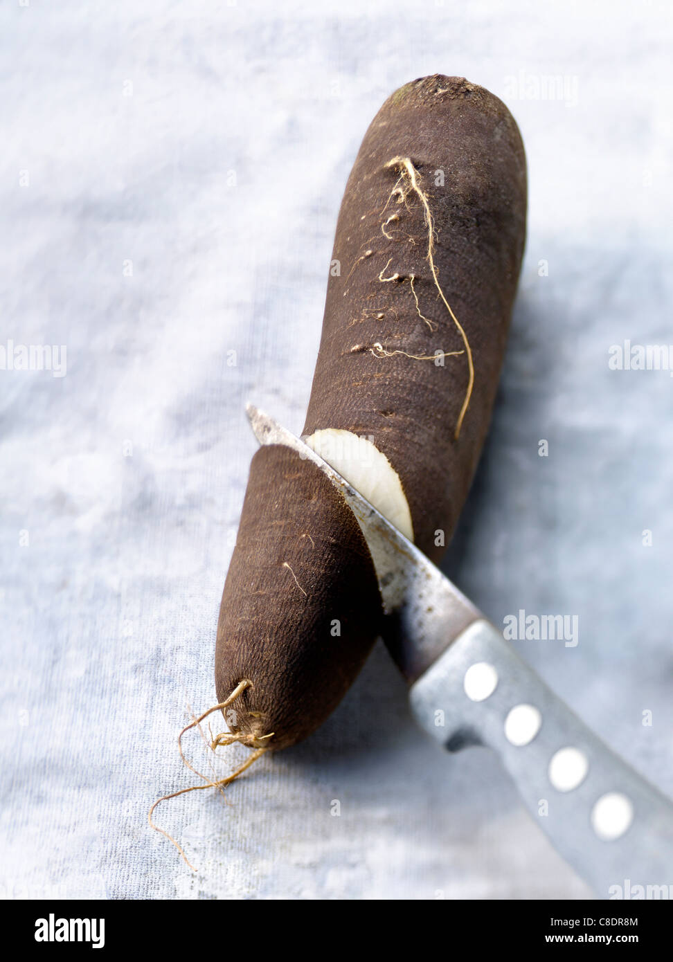 Black radish cut in half Stock Photo - Alamy
