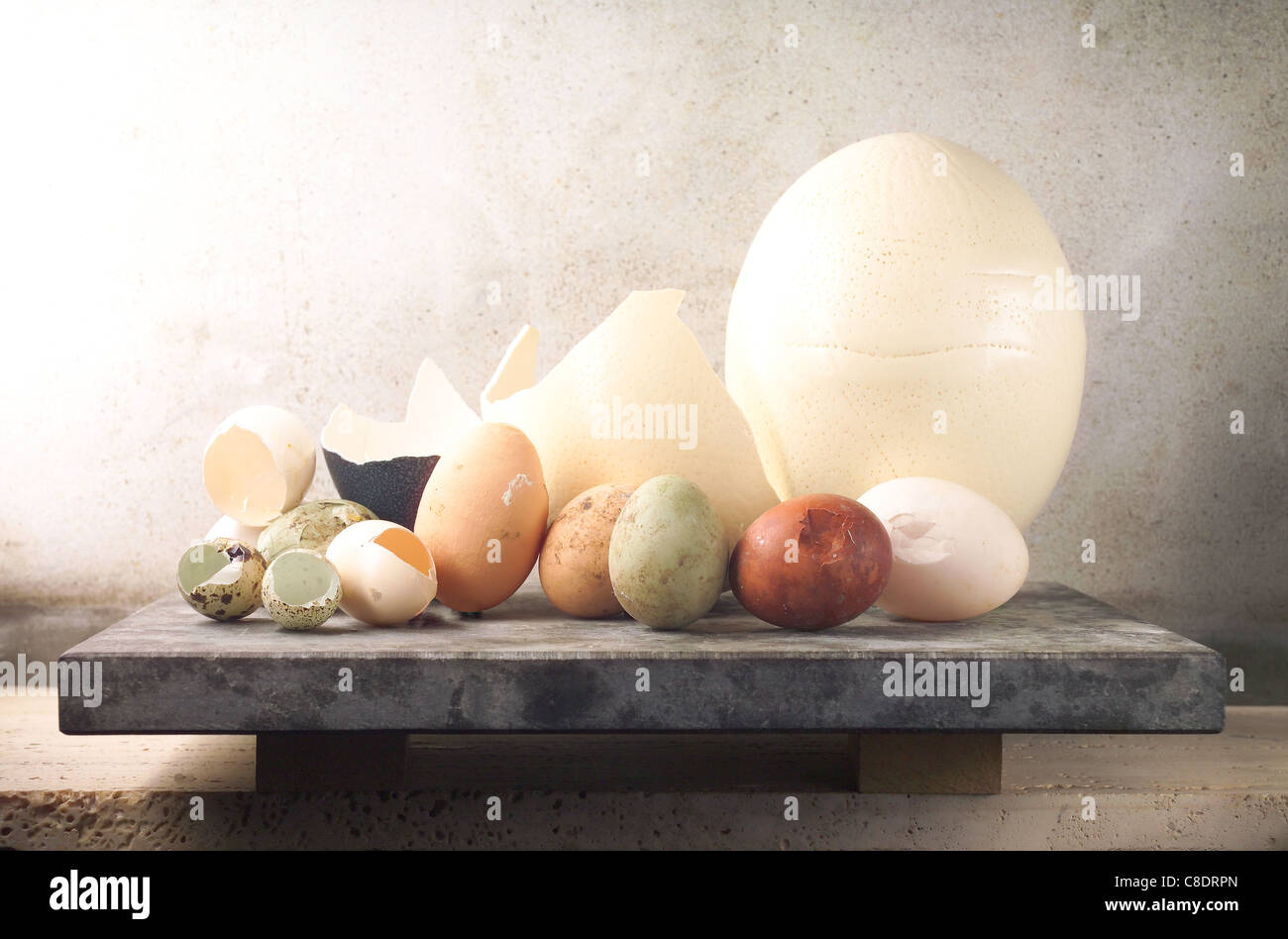 Selection of eggs Stock Photo - Alamy