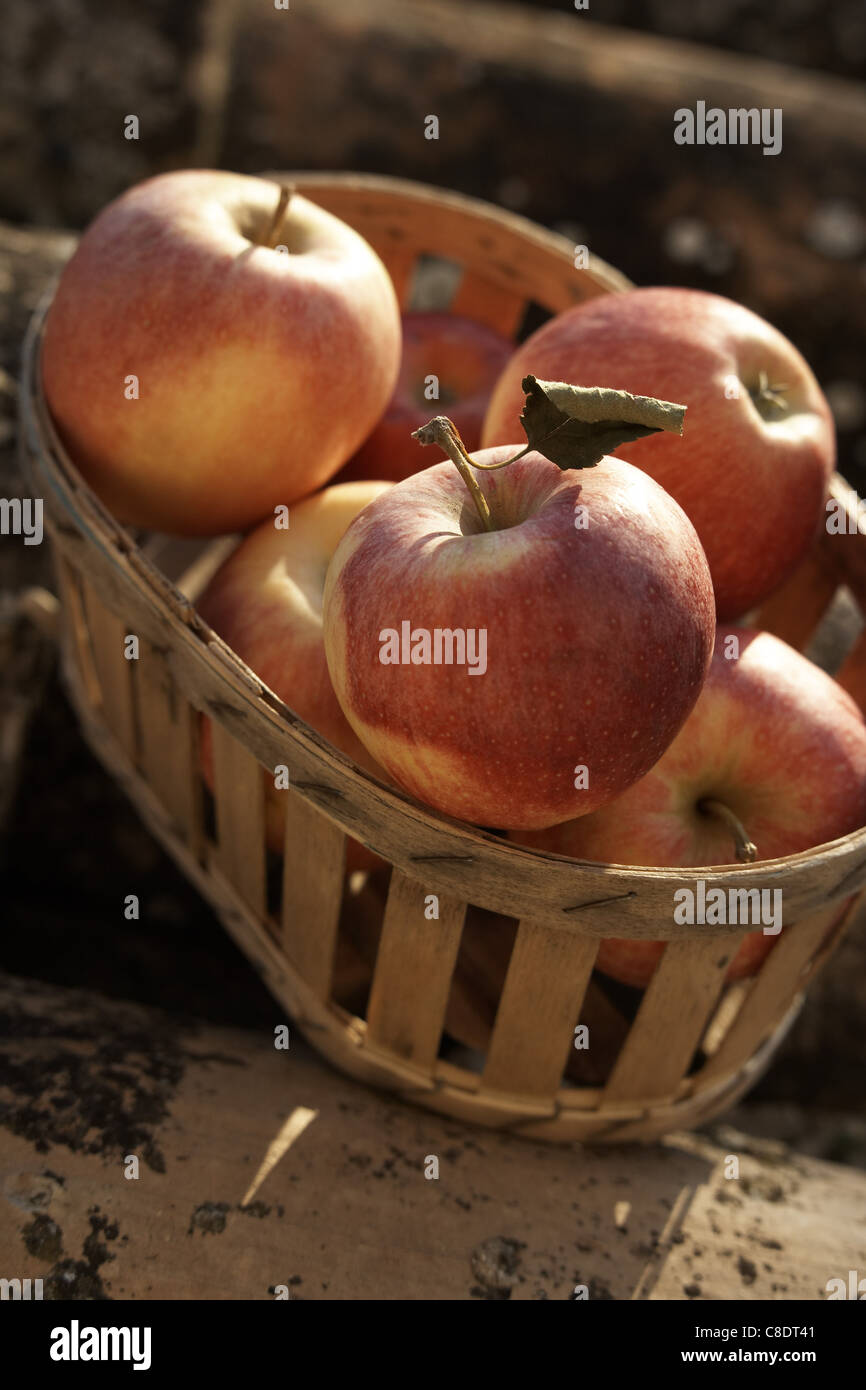 Hamper of apples Stock Photo - Alamy
