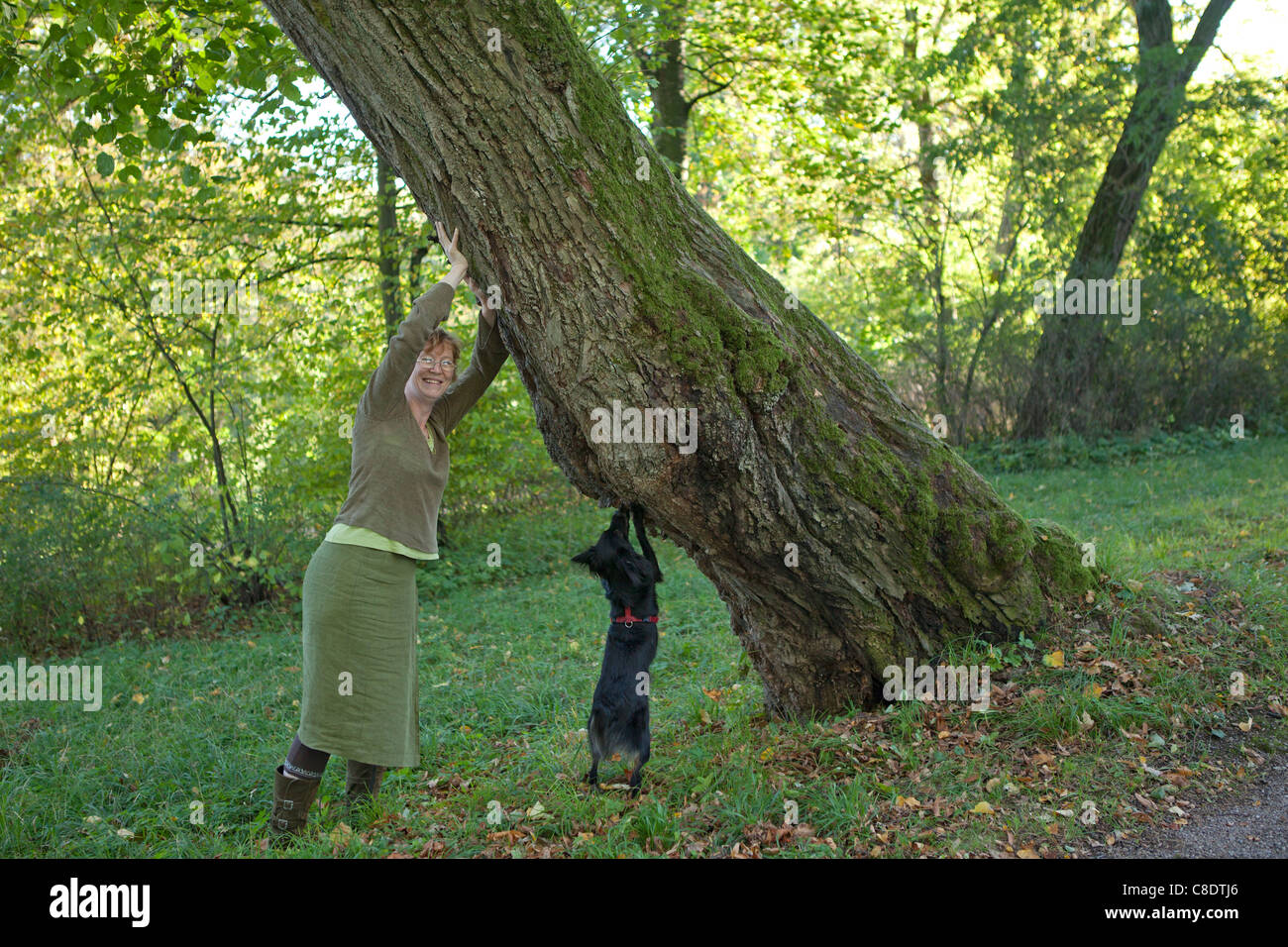 Black woman and tree incline hi-res stock photography and images - Alamy