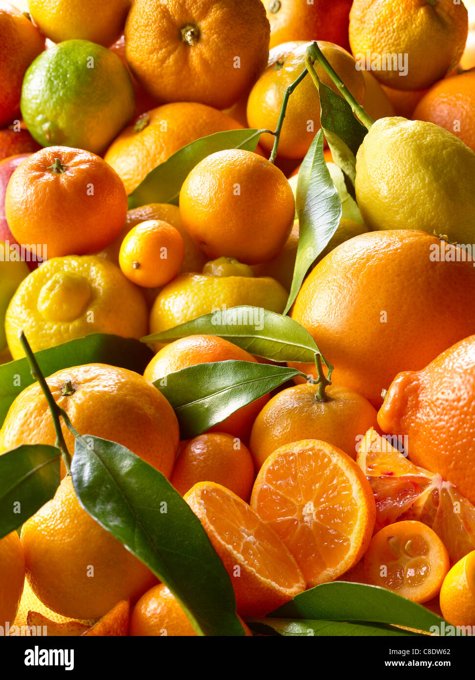Overall of citrus fruit Stock Photo - Alamy