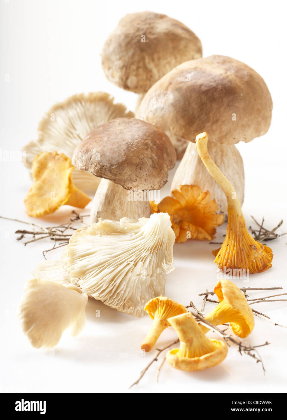 Mushroom selection hi-res stock photography and images - Alamy