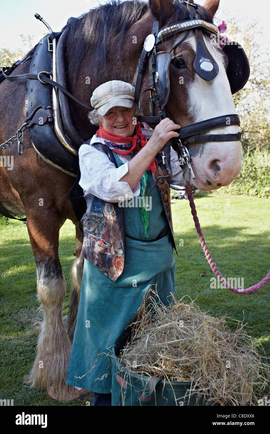 Large Shire horse and elderly female owner at an English country fair ...