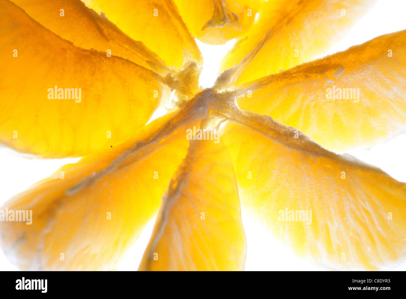 Sections segment hi-res stock photography and images - Alamy