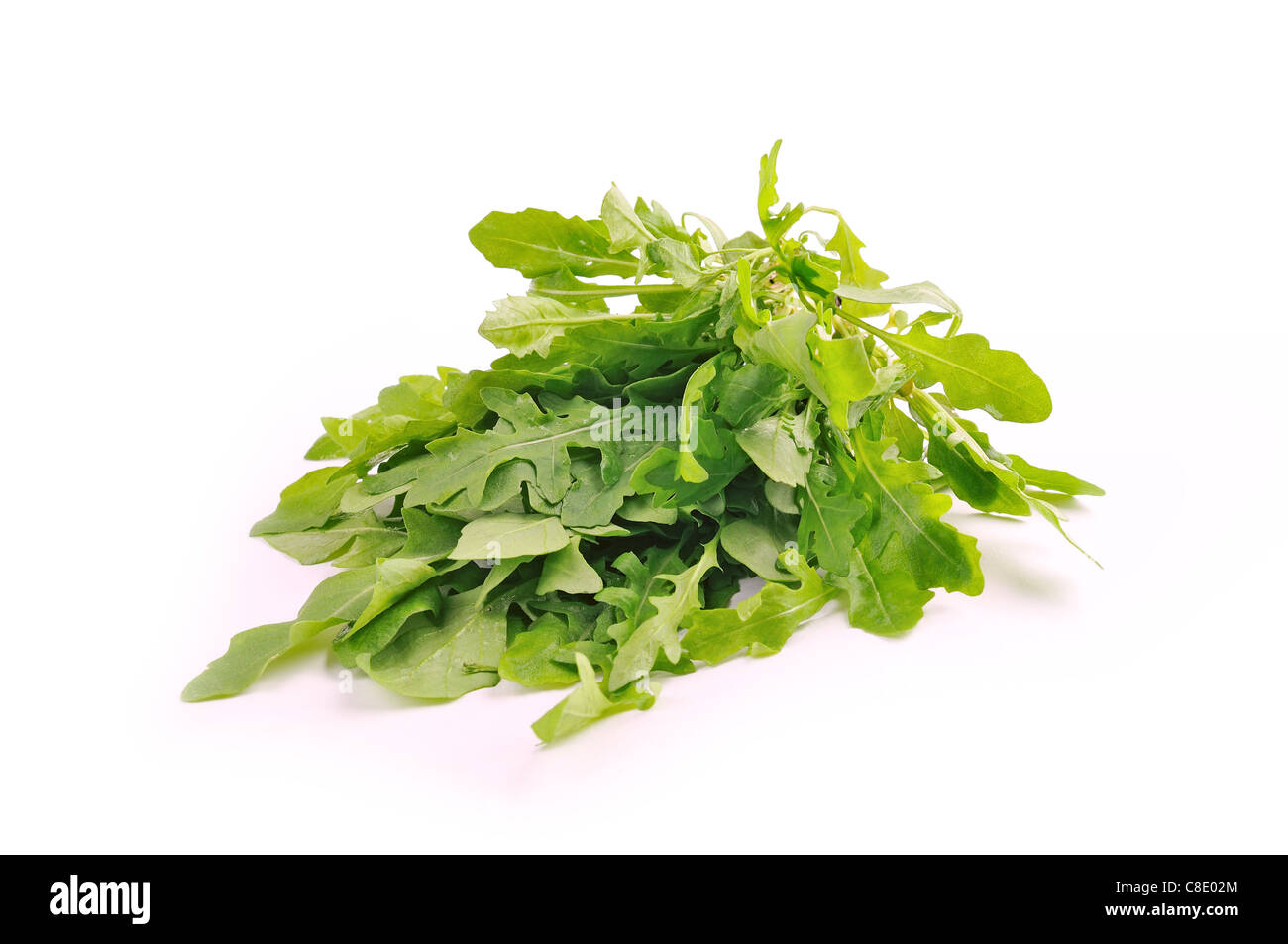 arugula in a white background Stock Photo - Alamy