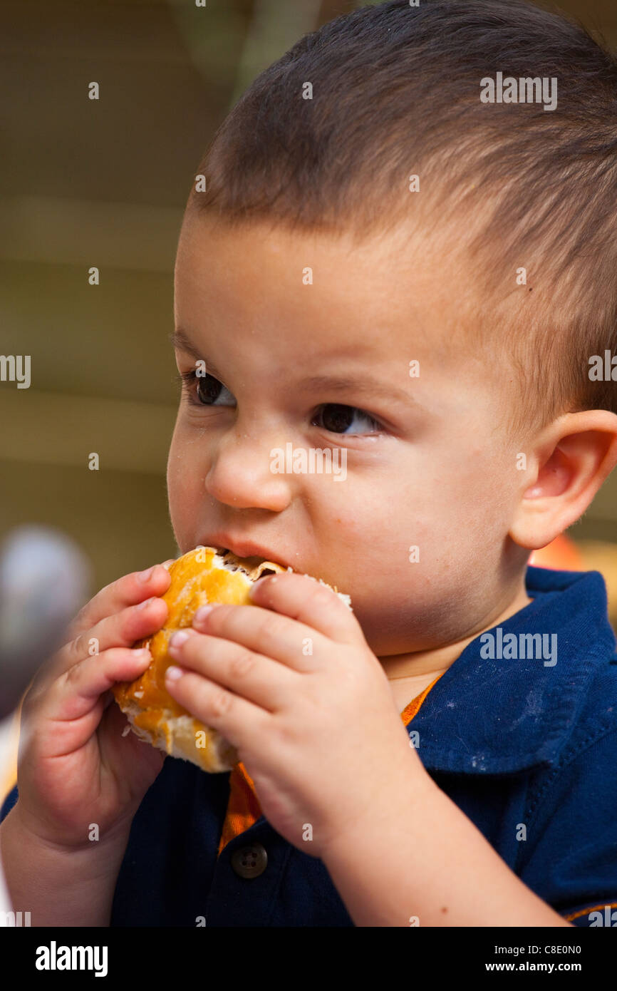 Little boy eating a sandwich Stock Photo - Alamy