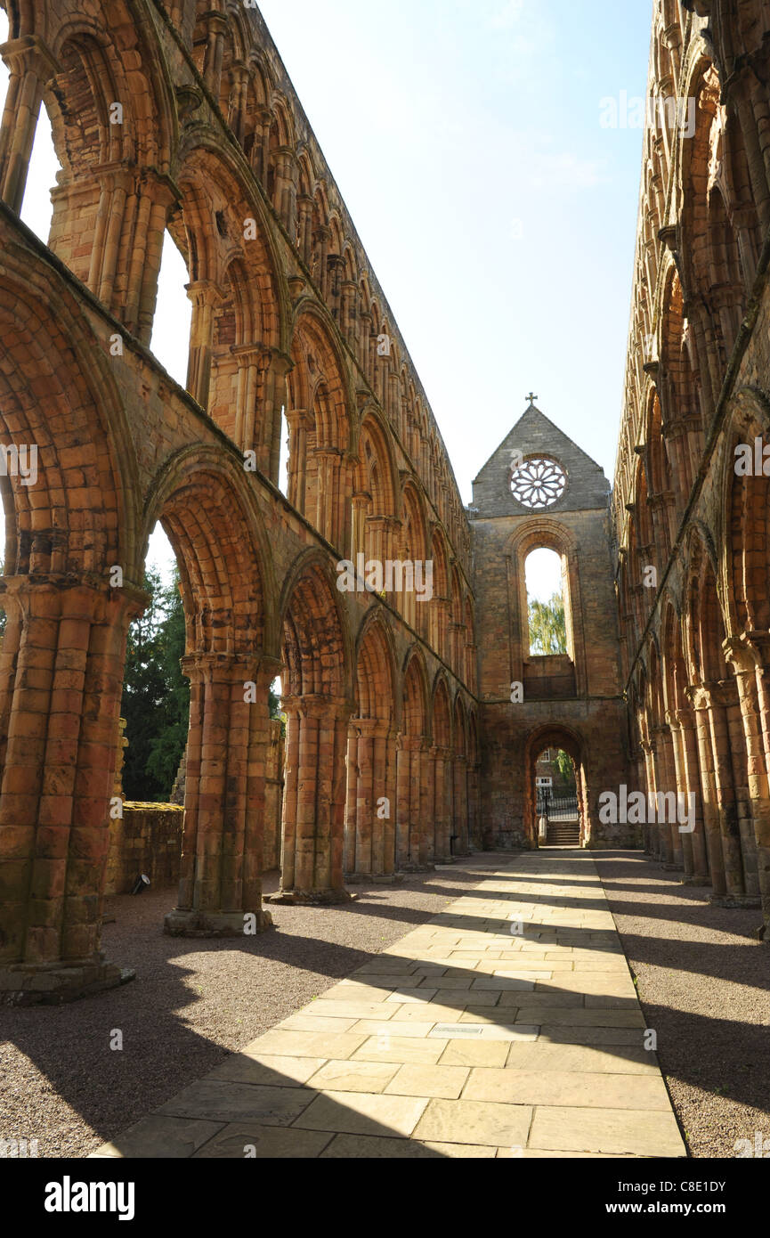 Inside Jedburgh Abbey Stock Photo - Alamy