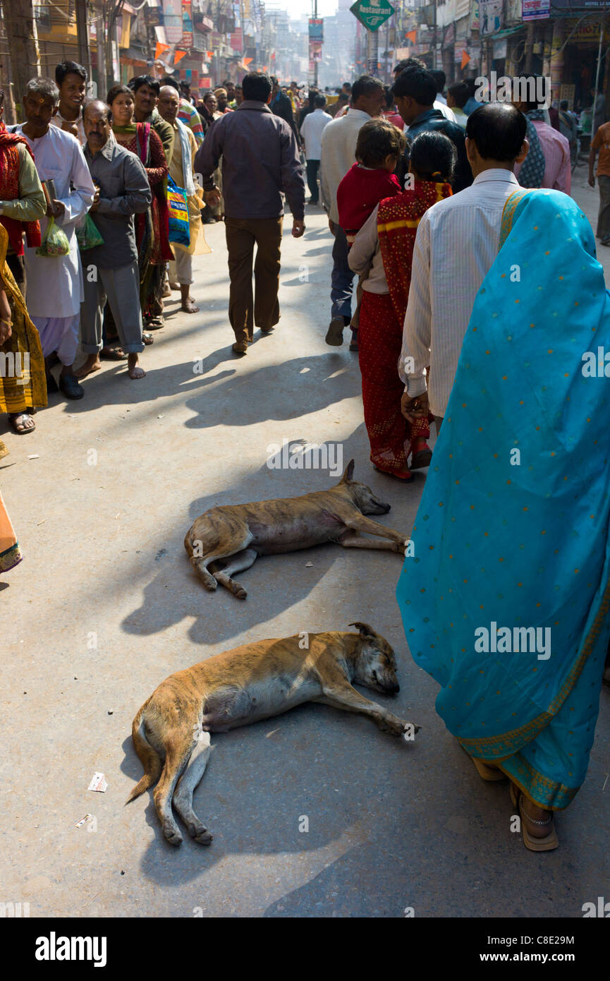 Indian Hindu men and women queue to visit Temple during Festival of ...