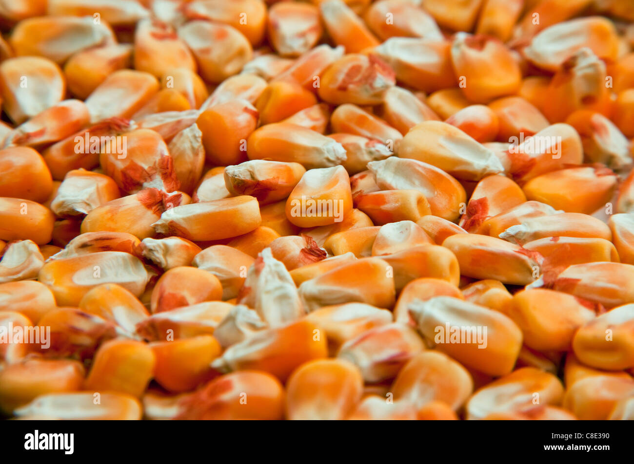 Corn kernels texture, nice agriculture background image Stock Photo - Alamy