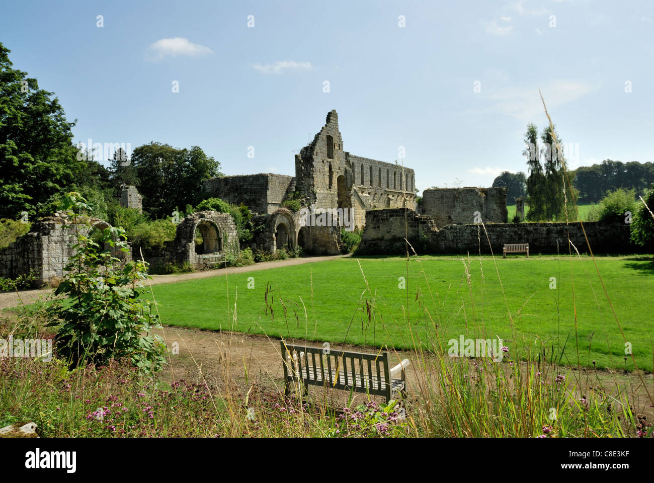 Views off parkland and ancient architecture North Yorkshire Stock Photo ...