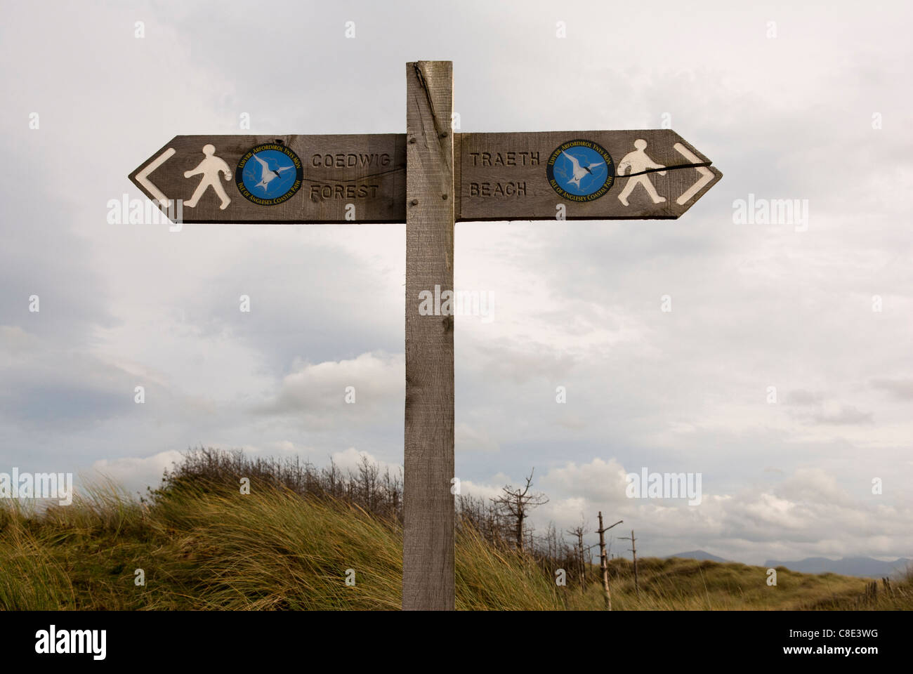 Footpath at Newborough (Niwbwrch) beach, Isle of Anglesey, Wales Stock ...
