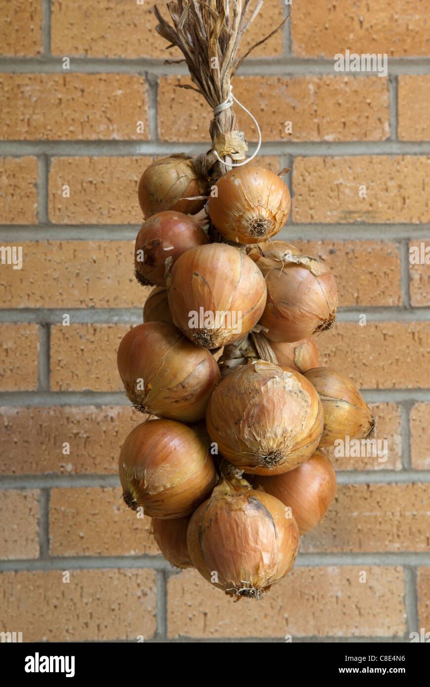 Rope of onions hi-res stock photography and images - Alamy
