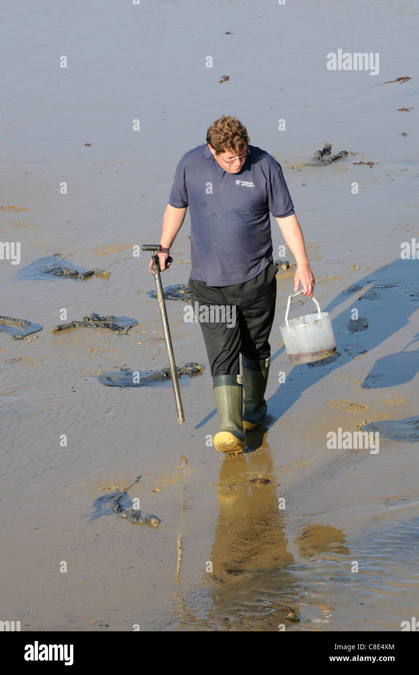 Bait digging beach hi-res stock photography and images - Alamy