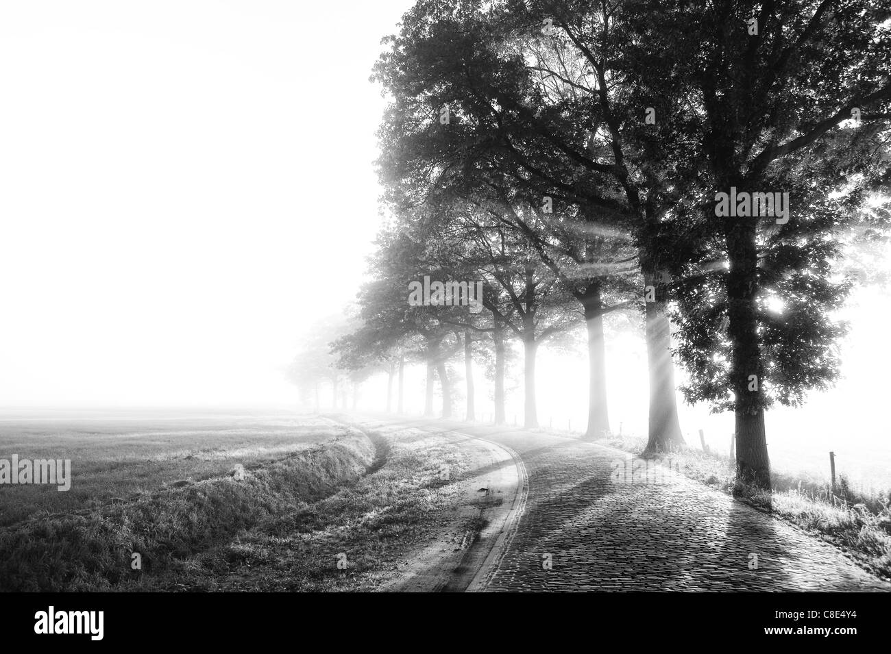 old dutch road to the smallest city in the netherlands - bronkhorst ...