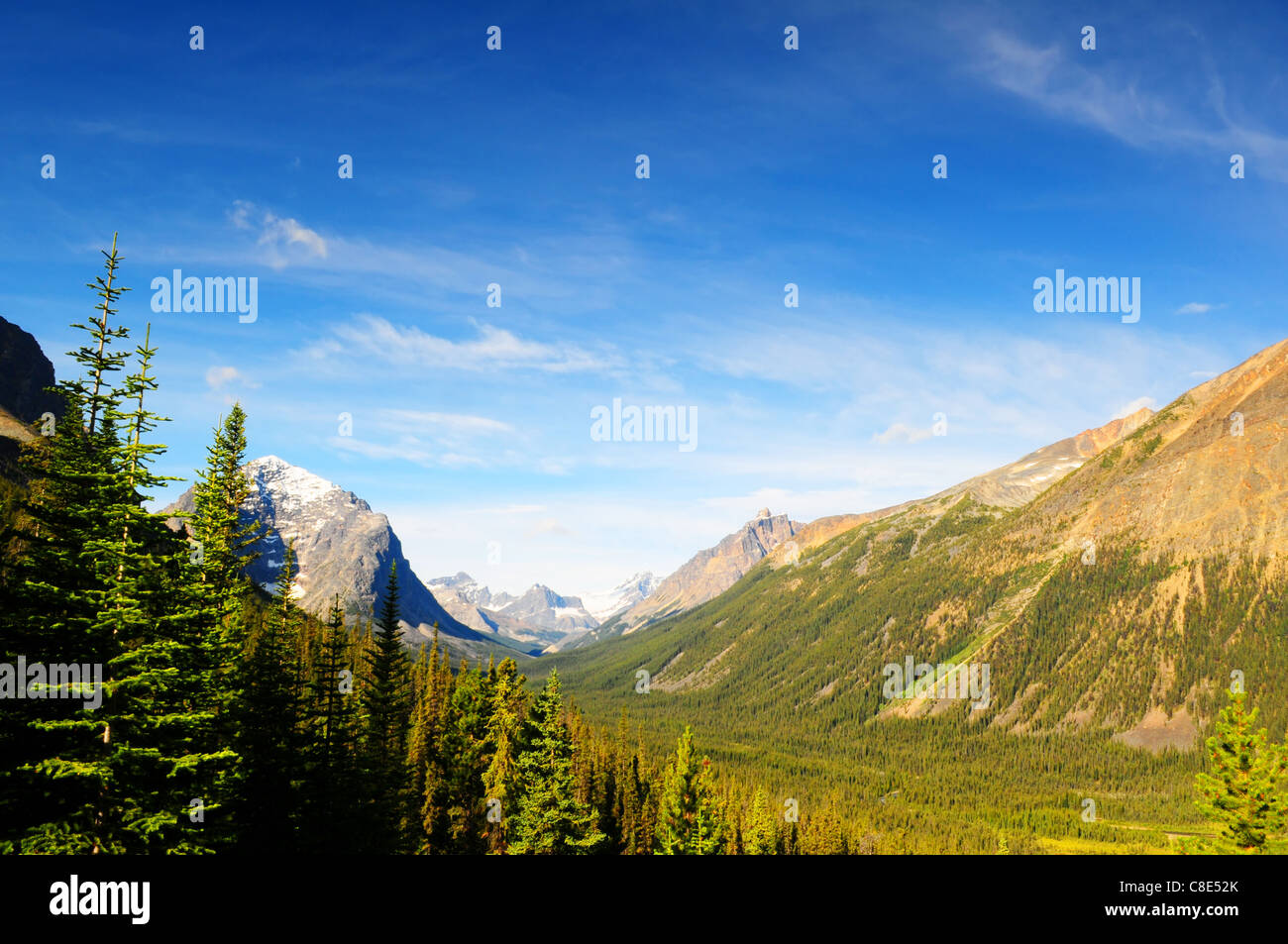 Scenic valley view along the Icefield parkway from Jasper to Banff ...
