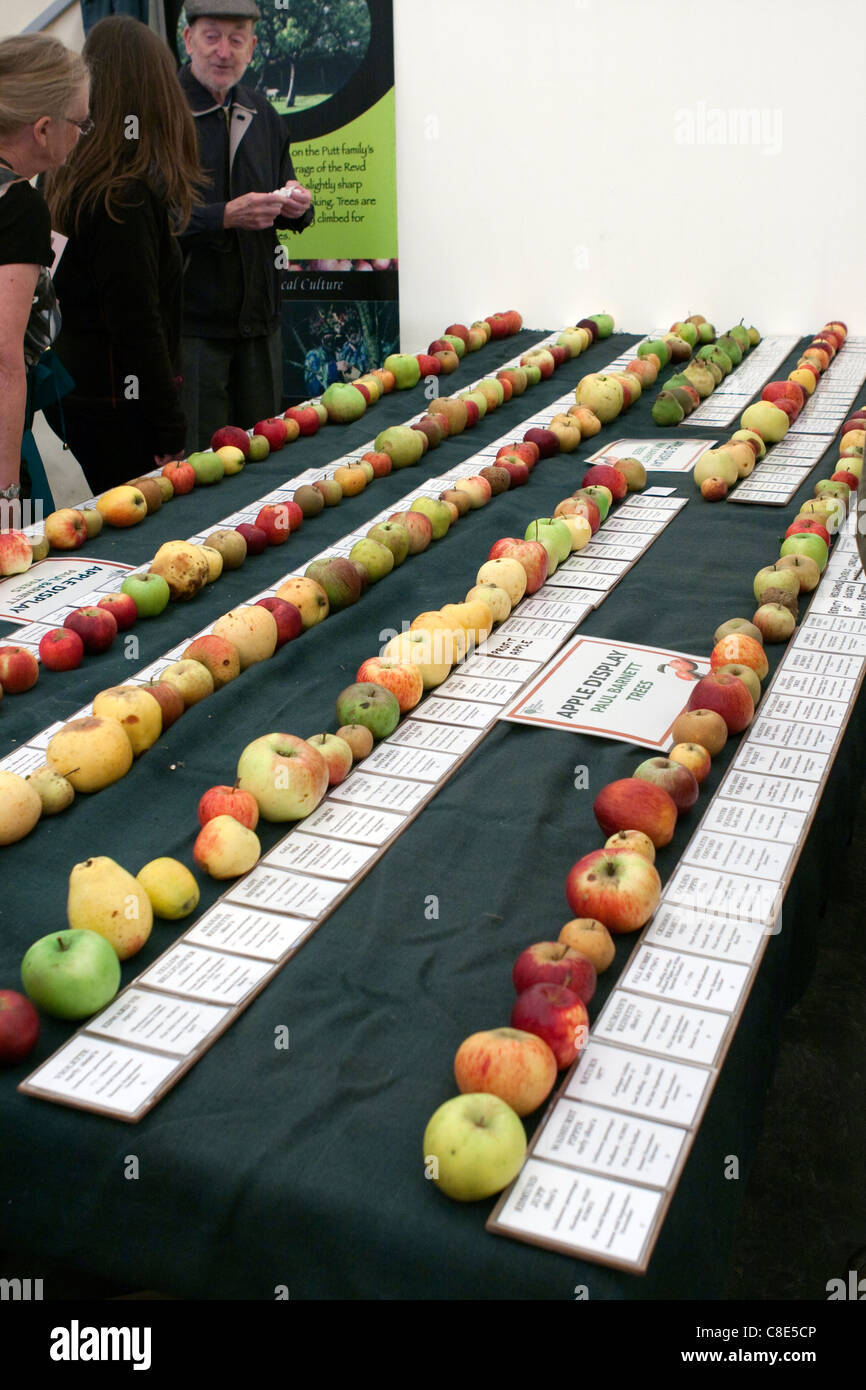 Apples with names hi-res stock photography and images - Alamy