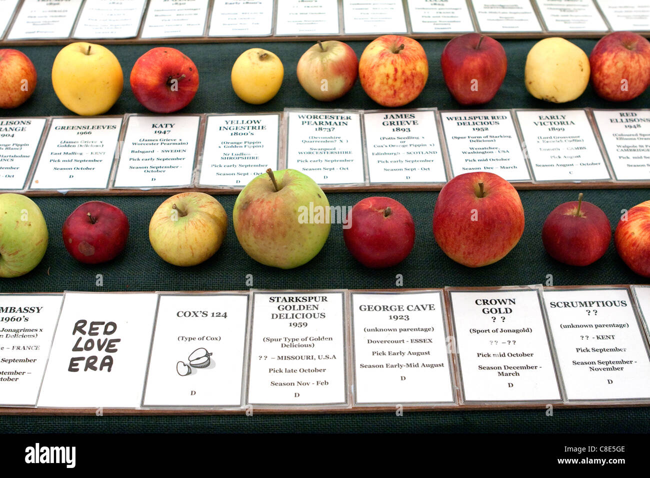 Apples with names hi-res stock photography and images - Alamy
