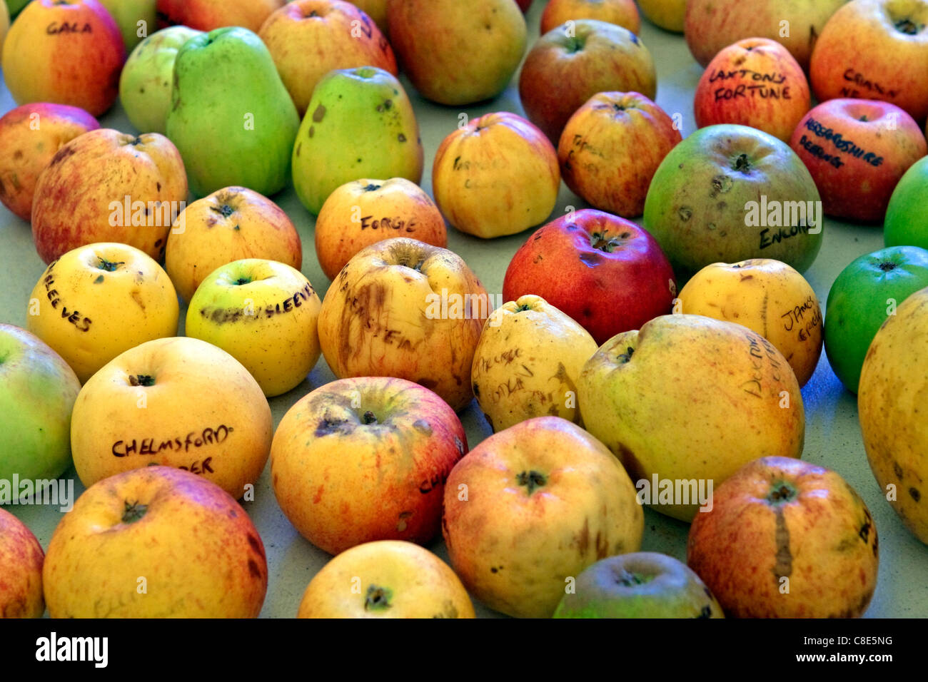 Apples with names hi-res stock photography and images - Alamy