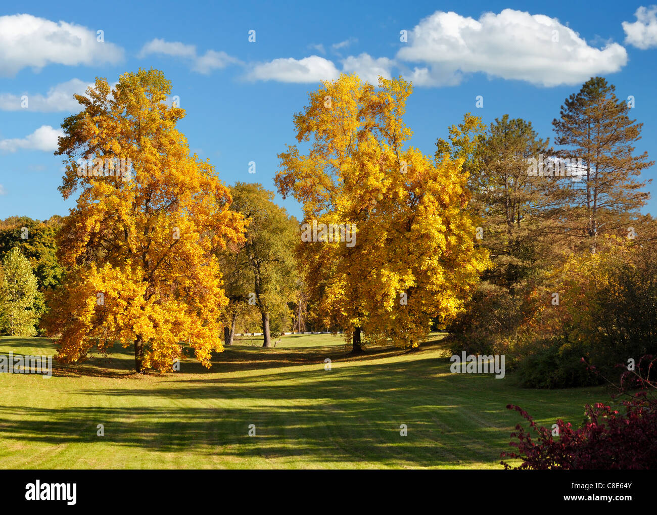 Cloudy day with red yellow autumn trees hi-res stock photography and ...