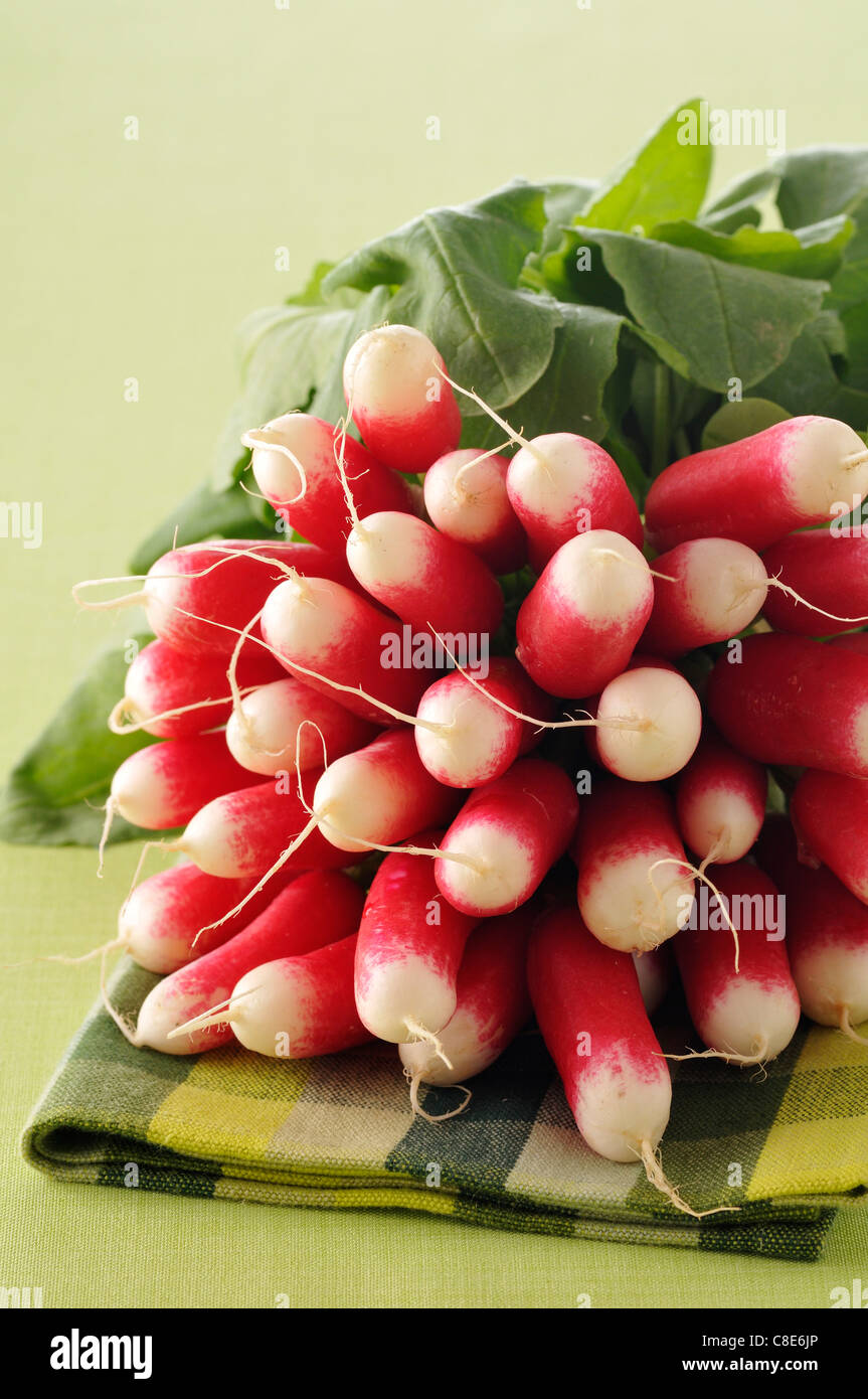 Bunch of radishes Stock Photo - Alamy
