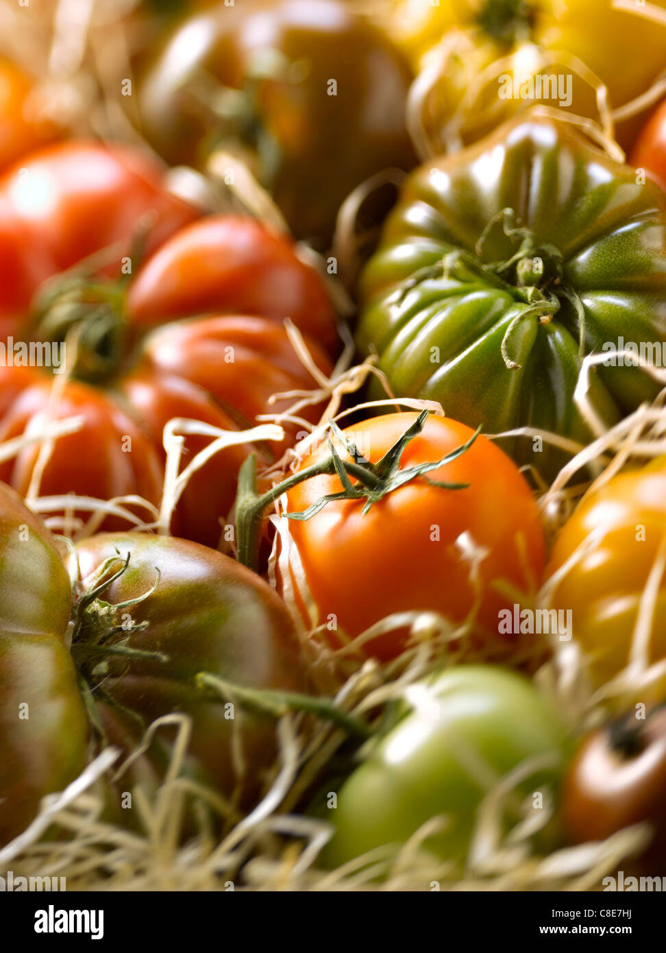 Assorted old-fashionned tomatoes Stock Photo - Alamy