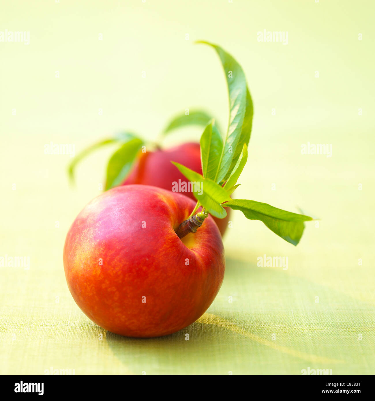 Nectarine brugnon hi-res stock photography and images - Alamy