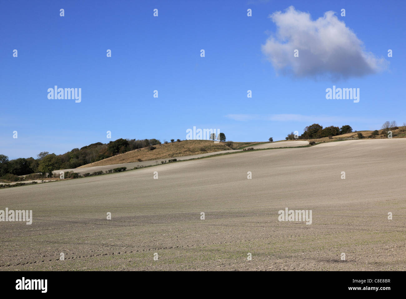 Roundway hill devizes hi-res stock photography and images - Alamy