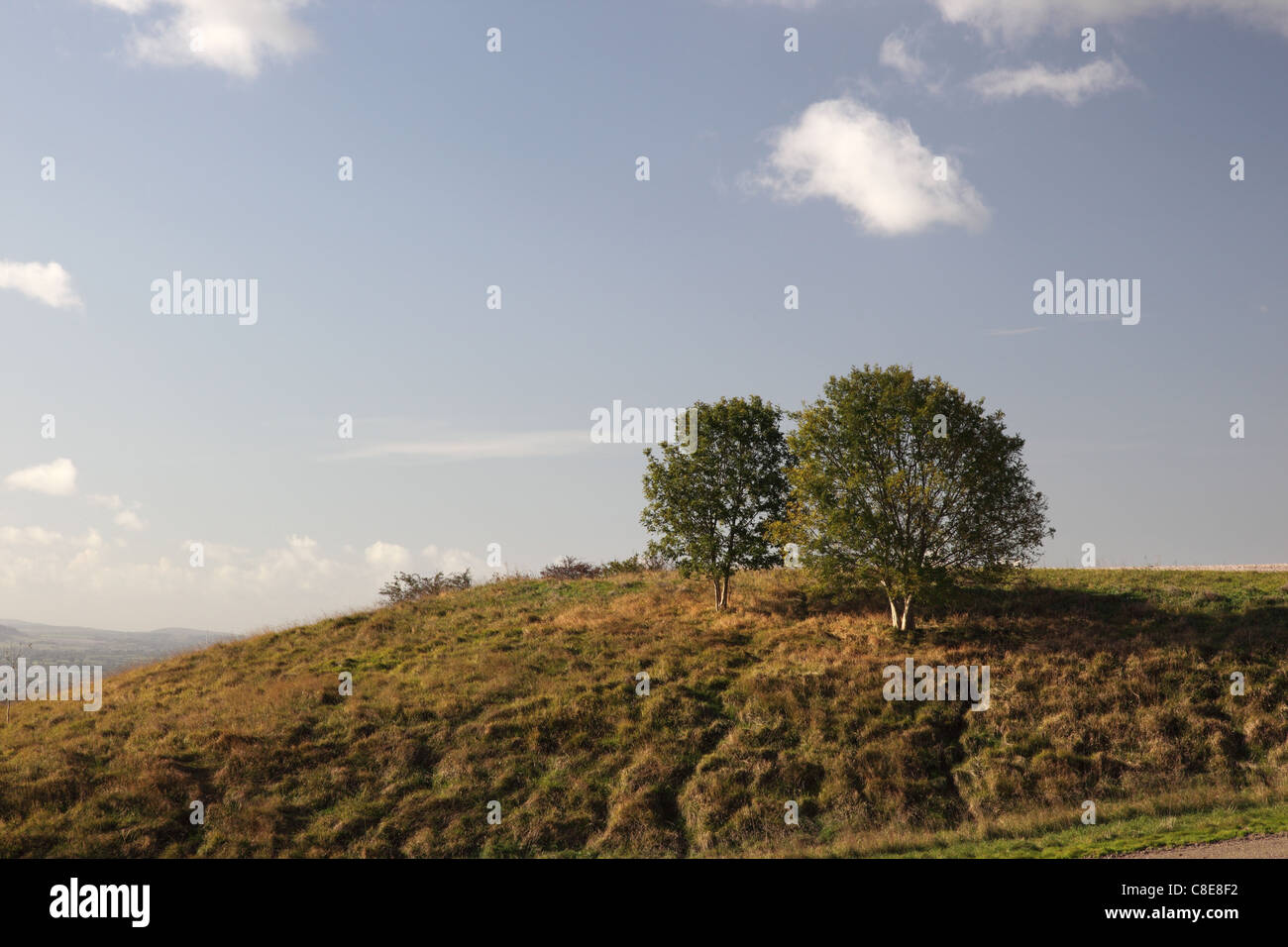 Roundway Wiltshire High Resolution Stock Photography and Images - Alamy