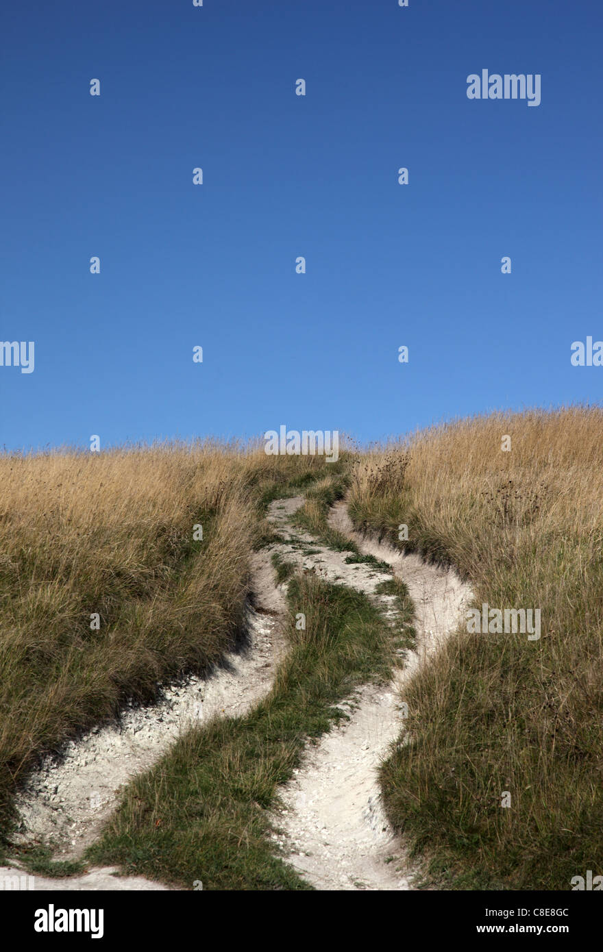 Roundway Hill, Wiltshire, England, UK Stock Photo - Alamy